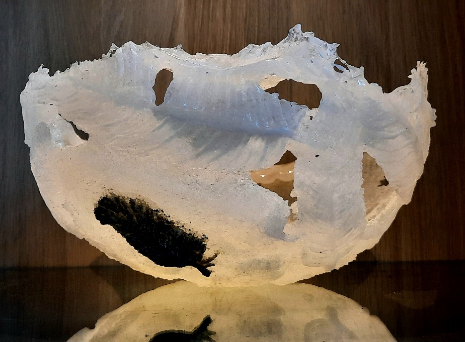 Josien Geerdink - Contemporary Glass Society