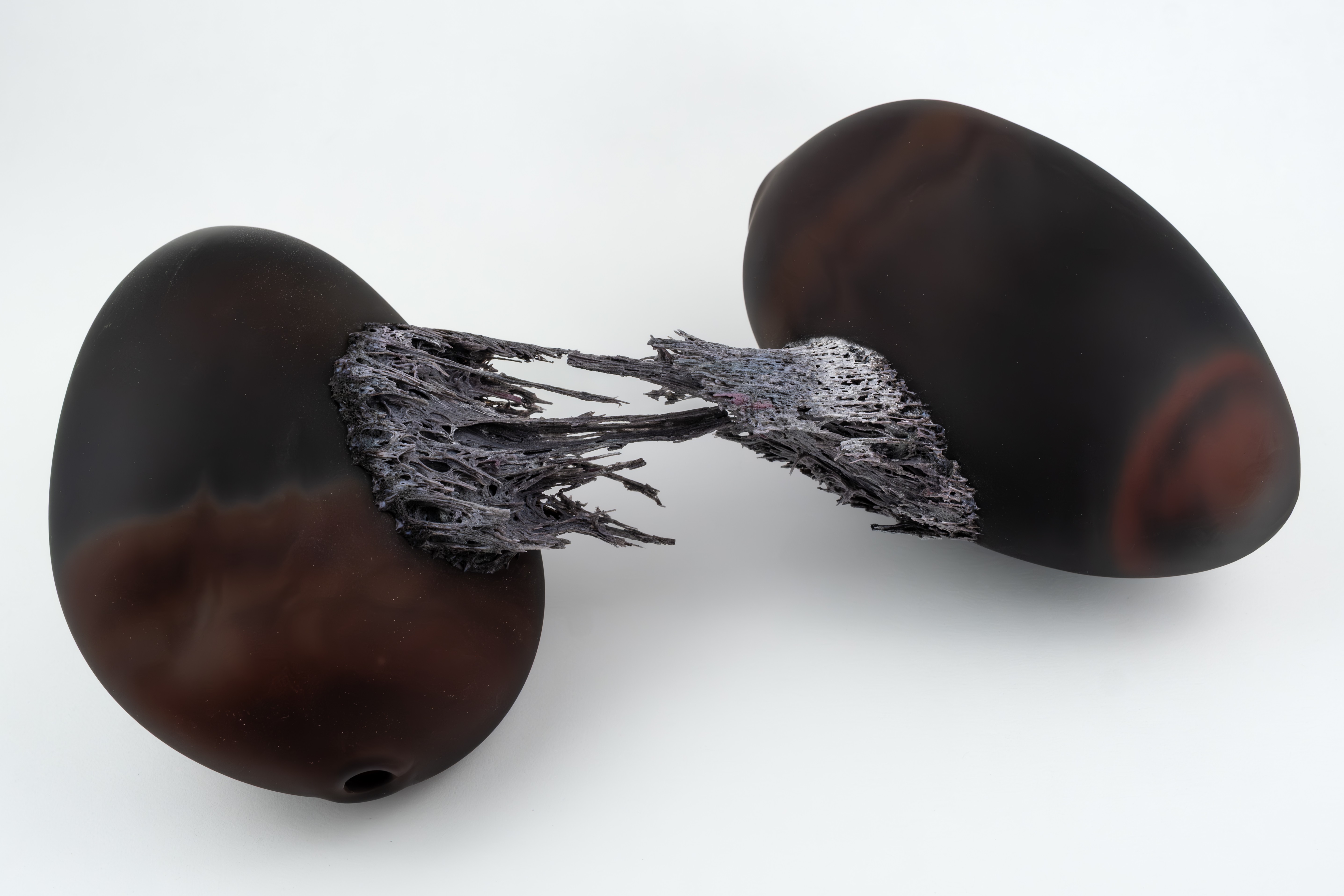 Sean Barnes - Contemporary Glass Society