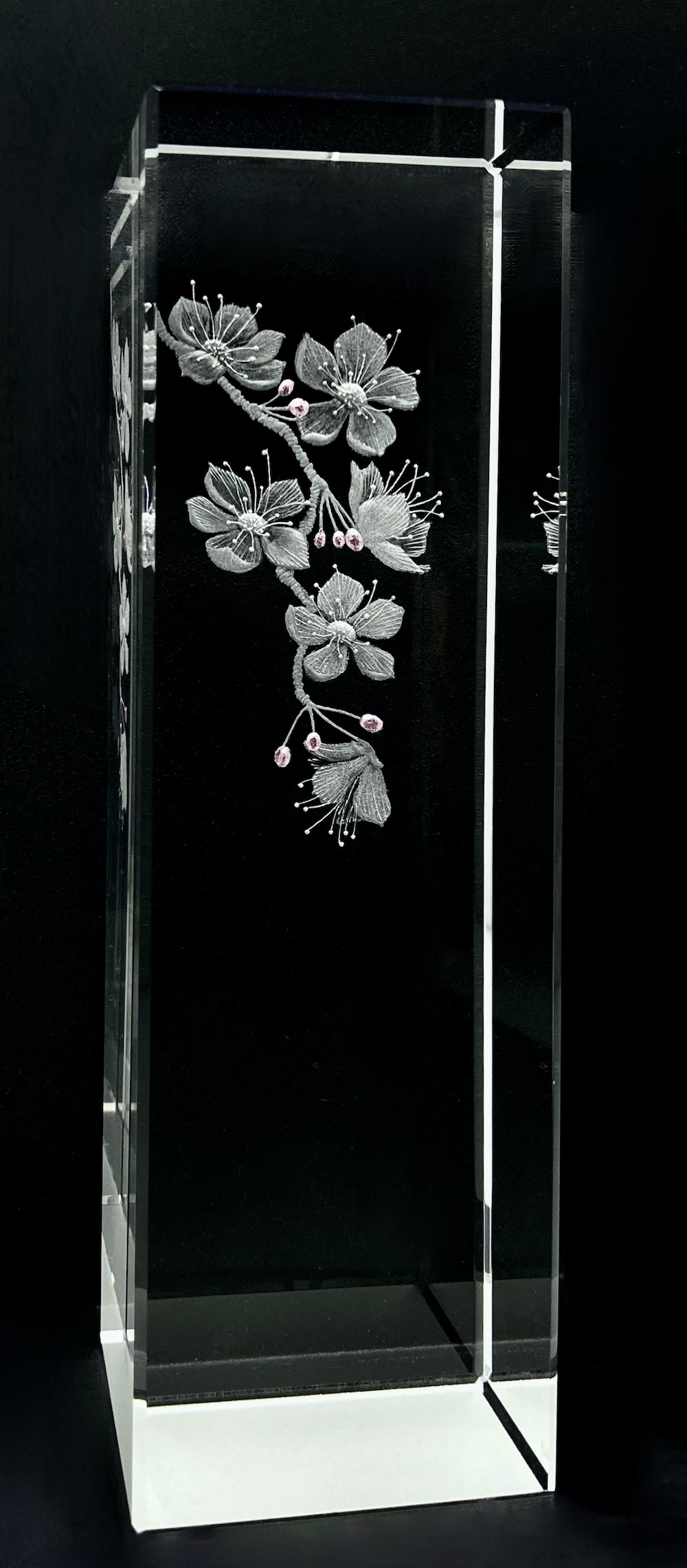 The Contemporary Glass Society